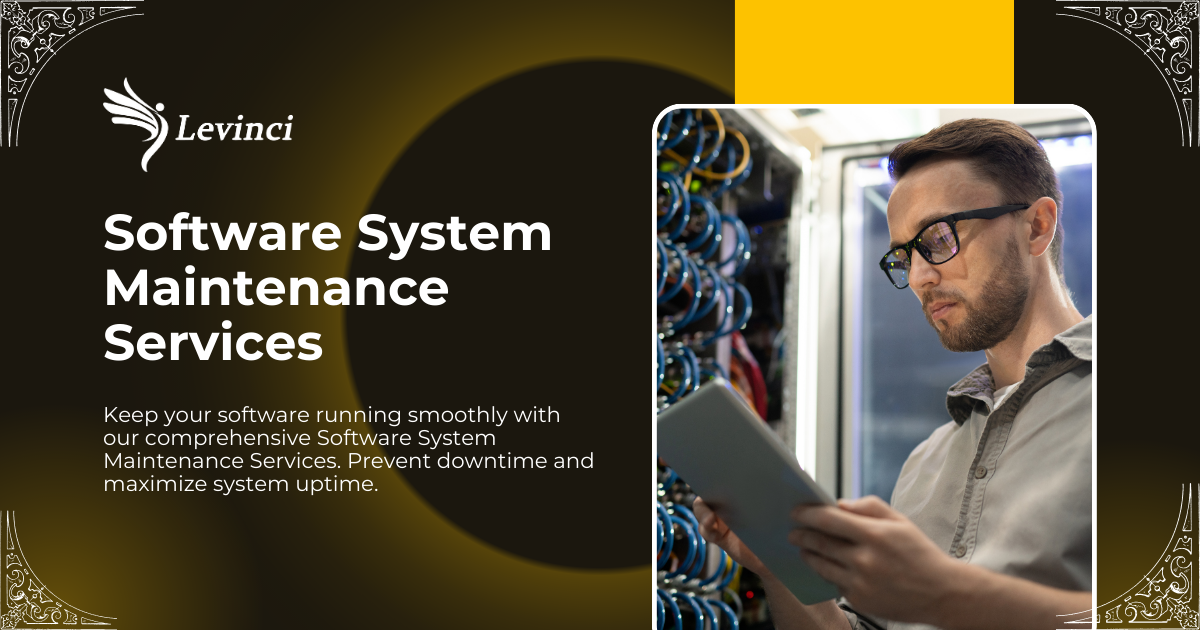 Software System Maintenance - Levinci Group