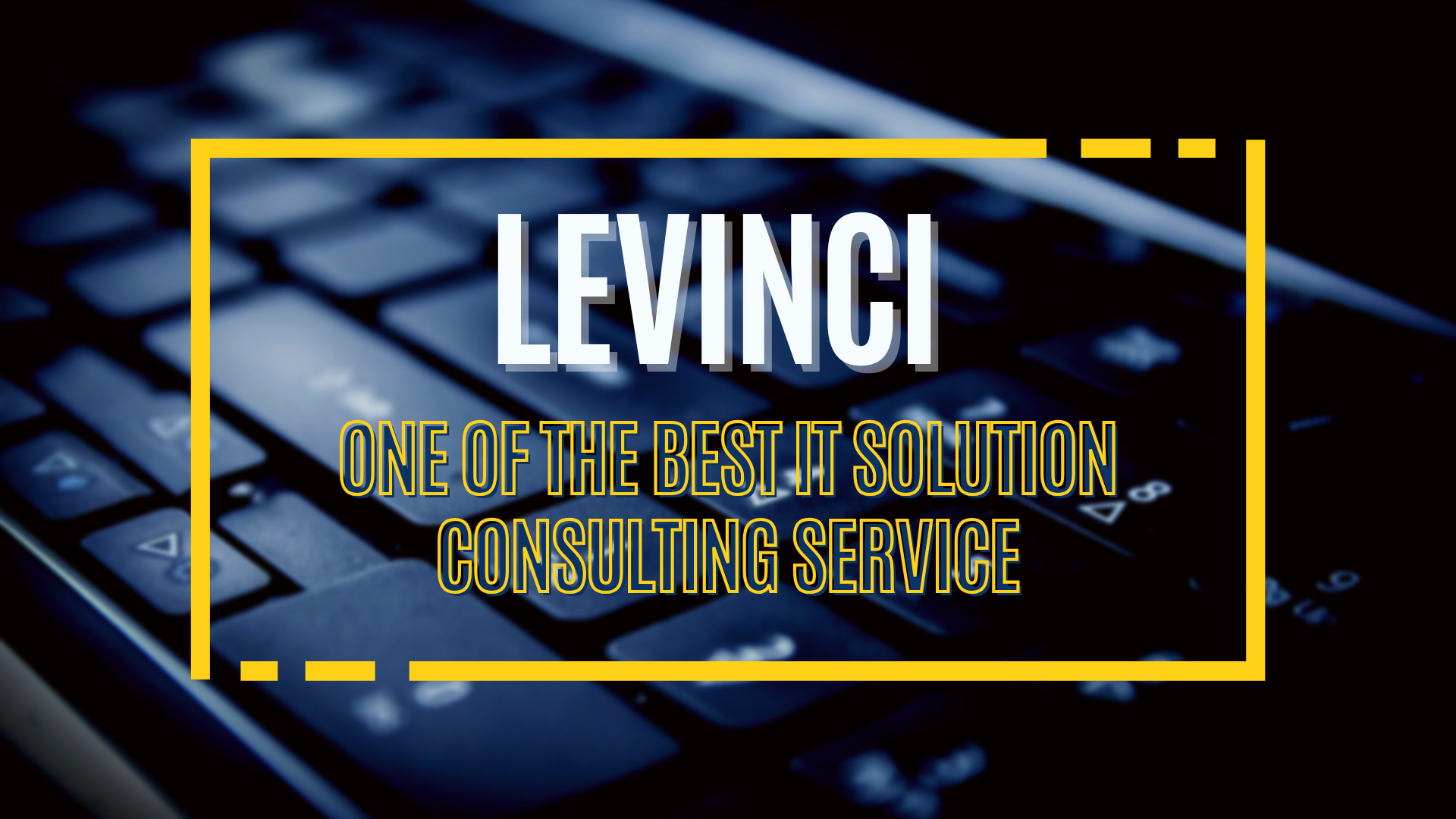 Levinci - One of the best IT Solution Consulting Service - Levinci Group